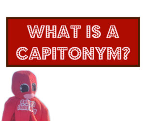 What are Capitonyms? - Spike's Sight Words