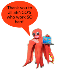 What makes a great SENDCO? - Spike's Sight Words